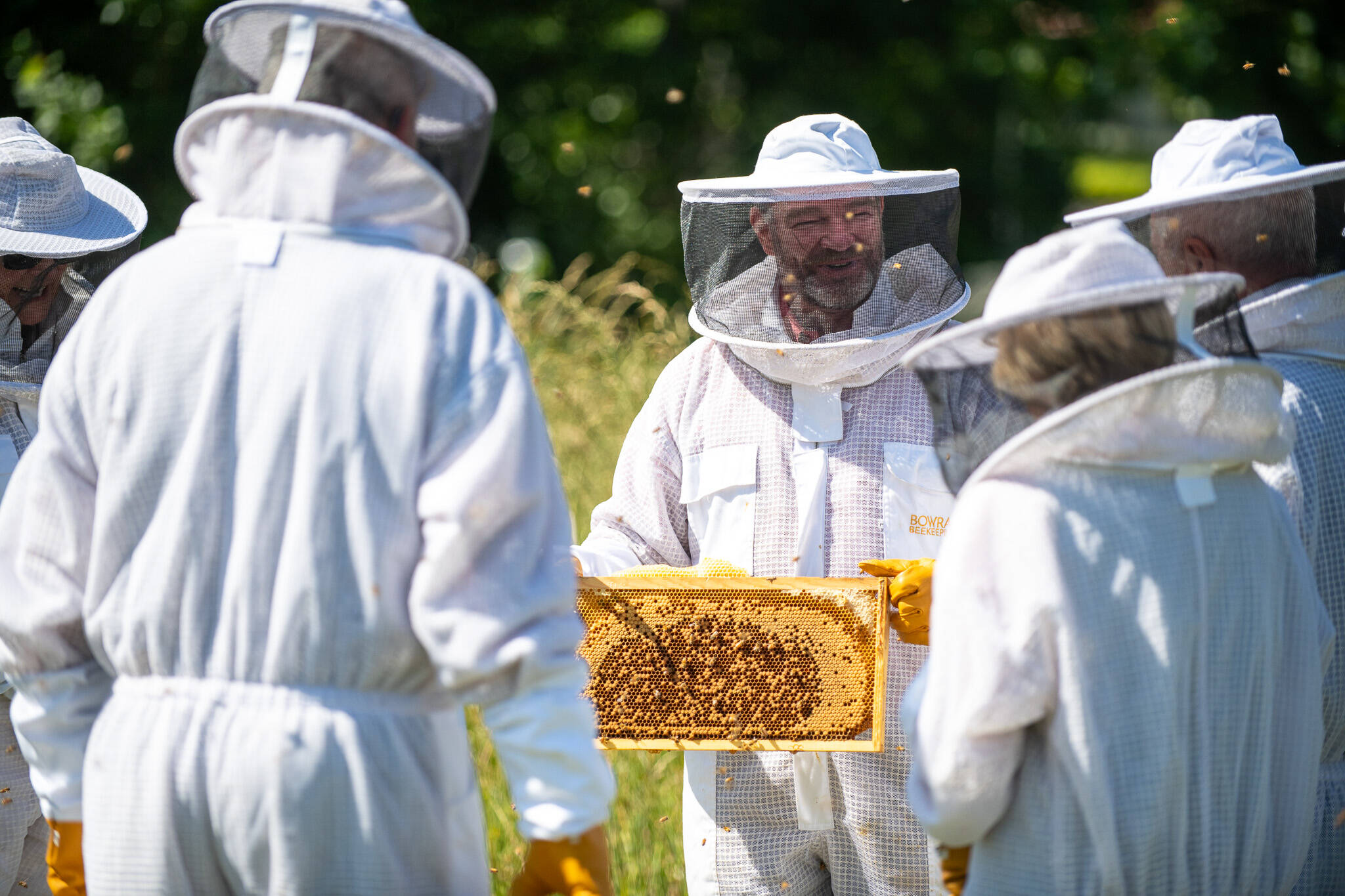 Honey Farm tours, experiences, workshops & honey sales in Bowral ...