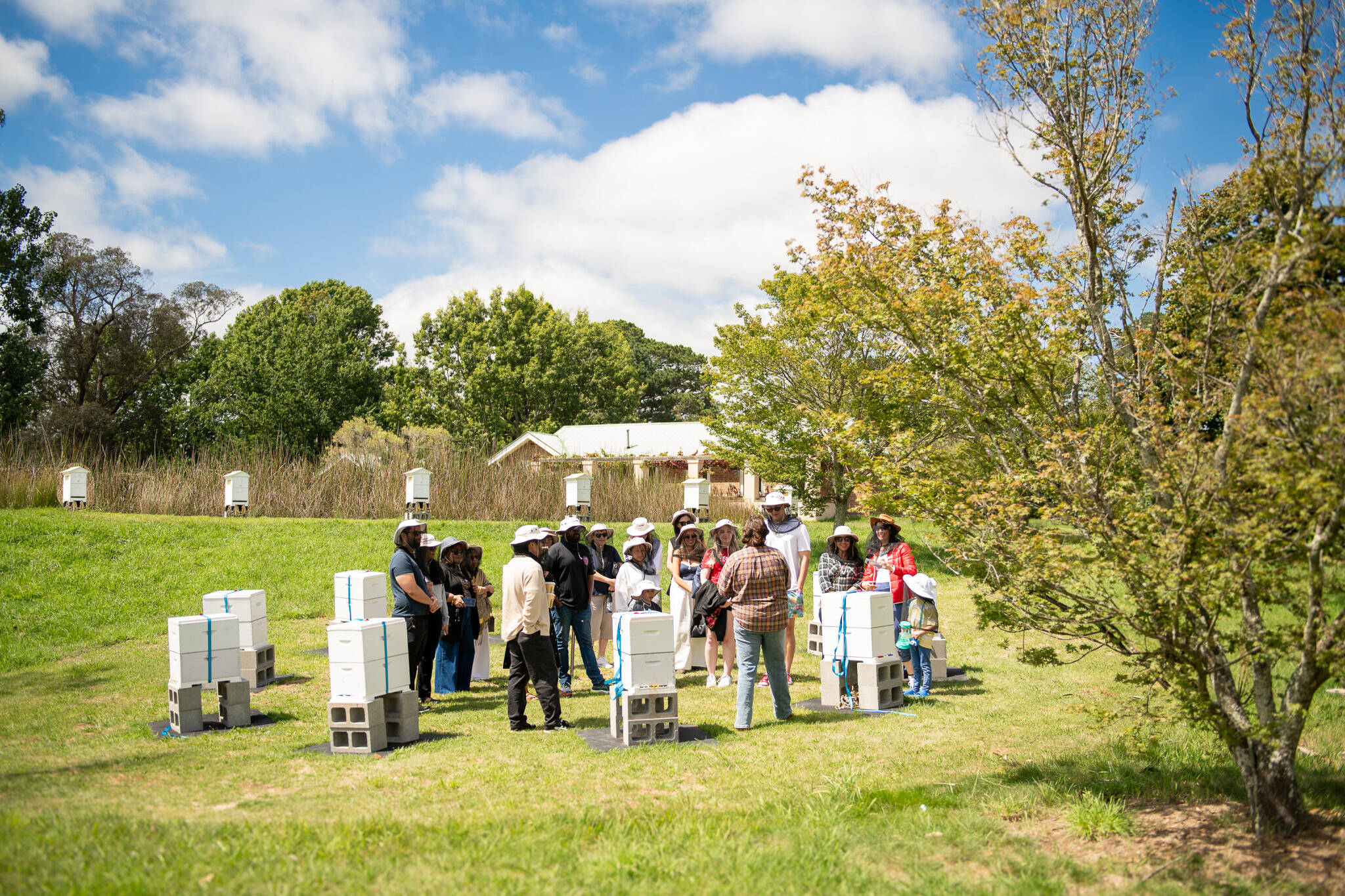 Honey Farm tours, experiences, workshops & honey sales in Bowral ...