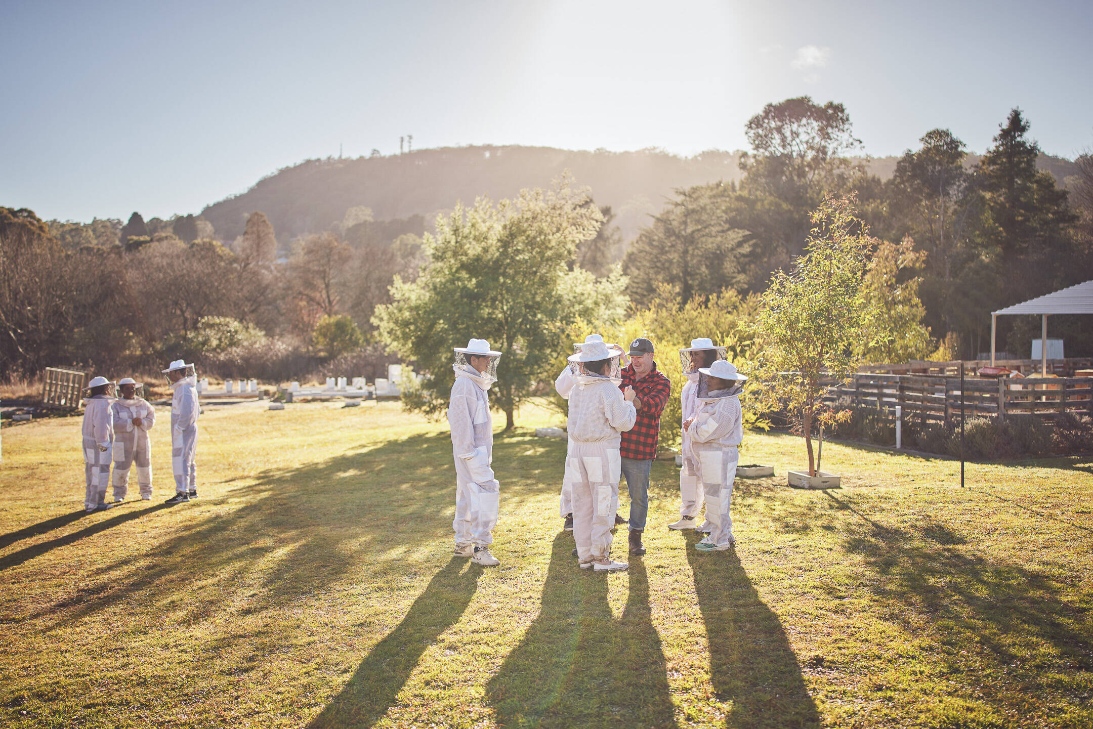 Honey Farm tours, experiences, workshops & honey sales in Bowral ...